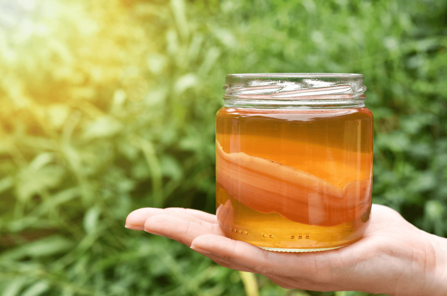 Skobi - simbioza ekologije i umetnosti od skoro i u Srbiji - Kultura i ...